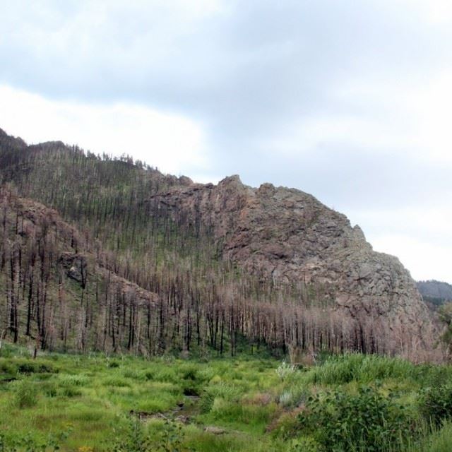Throwback Thursday: Medano Pass, Colorado