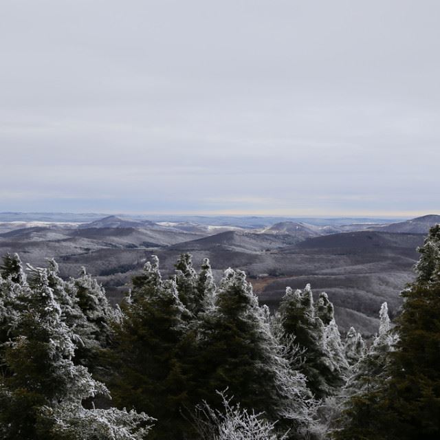 Spruce Knob