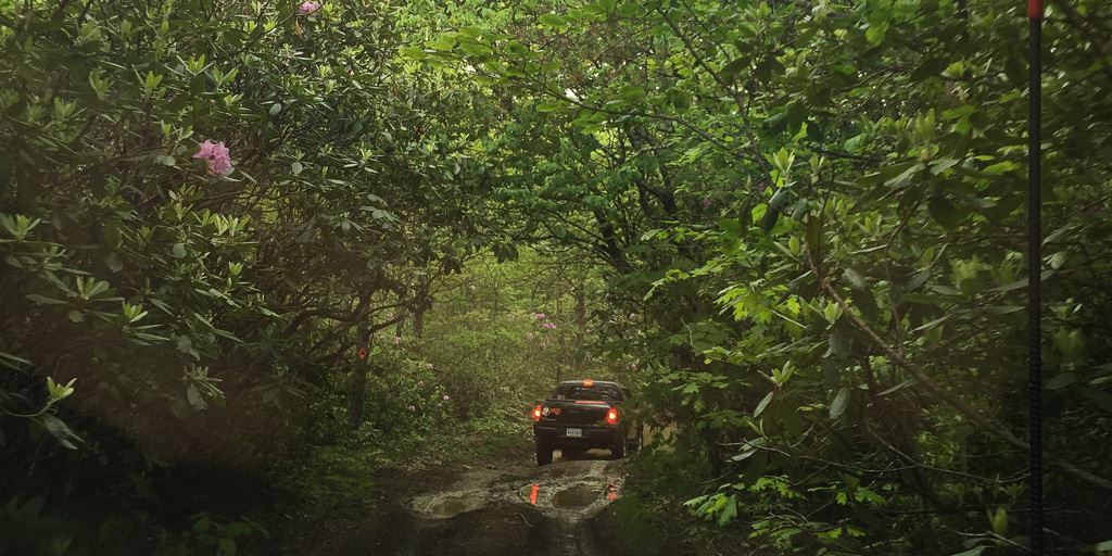 Memorial Day Weekend Ramblings – Big Levels Trail